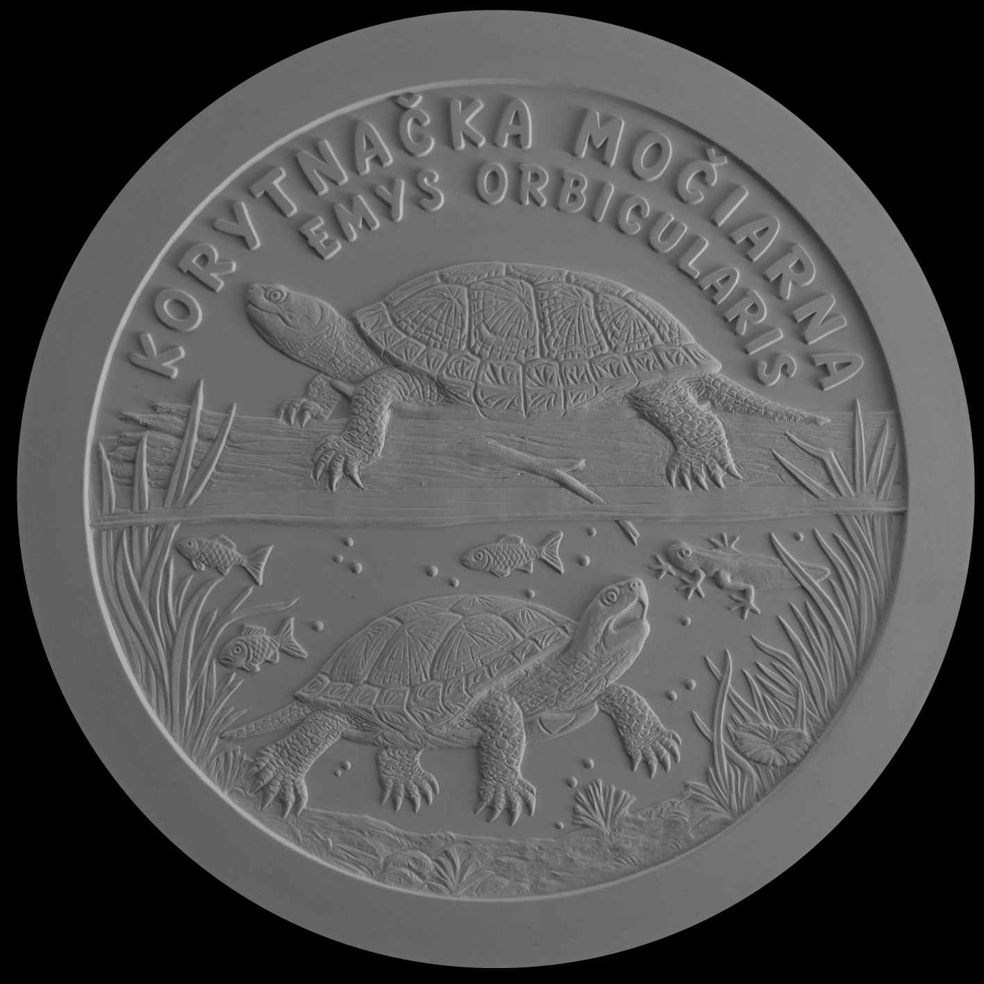 Výsledky verejnej anonymnej súťaže na výtvarný návrh zberateľskej euromince z obyčajných kovov v ...